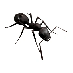 Black Ant | Empires of the Undergrowth Wiki | Fandom