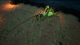 Spiny Devil Bush Cricket | Empires of the Undergrowth Wiki | Fandom