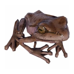 Pine Woods Tree Frog | Empires of the Undergrowth Wiki | Fandom