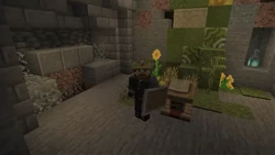 Second Empire Games | Empires SMP Wiki | Fandom