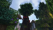 Mythland | Empires SMP Wiki | Fandom