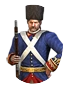 Walloon Guards | Empire - Total War | Fandom