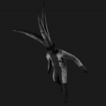 Soulless | Empty Shell Wiki | Fandom