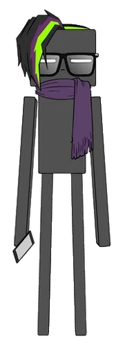 Enderbrah | The Epic minequest Wiki | Fandom