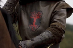 Blood Guard | Emrys Heart Wiki | Fandom