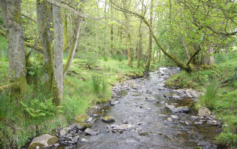 River Clun | Emrys Heart Wiki | Fandom