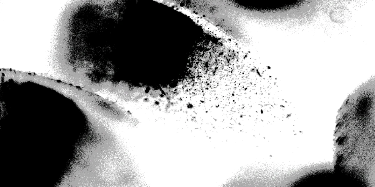 Pause Images | ENA Wiki | Fandom