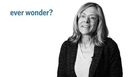 Anime | Animanga Wiki | Fandom