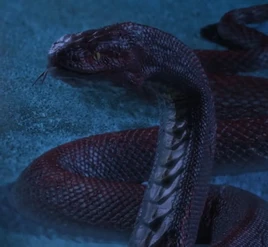 Ether | Encantadia Wikia | Fandom