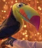 Pico | Encanto Wiki | Fandom