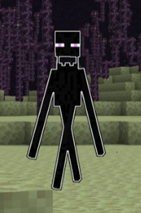 Warper | Enchanted Skies Wiki | Fandom