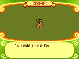 Honey Bee | Enchanted Folk Wiki | Fandom