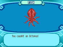 Octopus | Enchanted Folk Wiki | Fandom