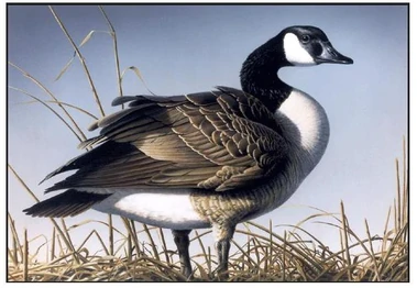 Robert Hautman | Wiki Enciclopedia del reino animal | Fandom