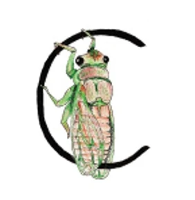 Invertebrados C | Wiki Enciclopedia del reino animal | Fandom