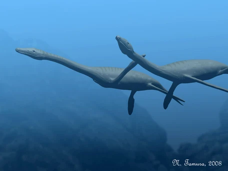 Plesiosaurus (Plesiosaurus dolichodeirus) | Wiki Enciclopedia del reino ...