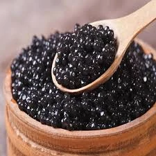 Caviar | Encyclopedia Doodland Show Wiki | Fandom