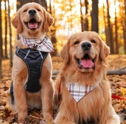 Tucker Budzyn | Spaghetti Wiki | Fandom