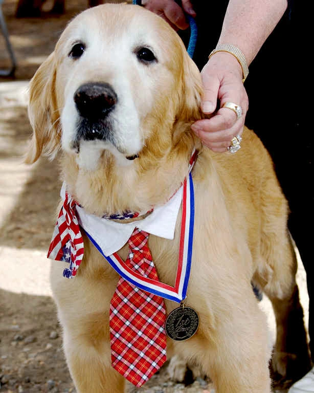 Mayor Max | Spaghetti Wiki | Fandom