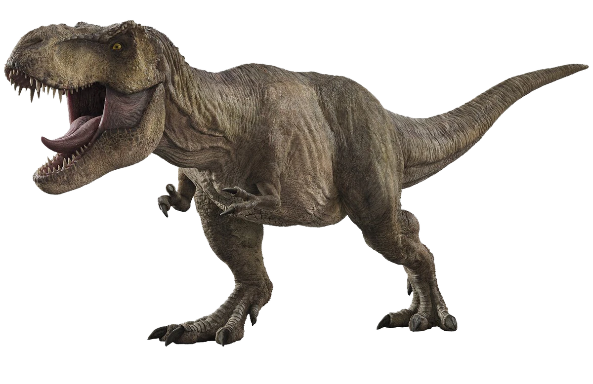 Tyrannosaurus Rex Spaghetti Wiki Fandom