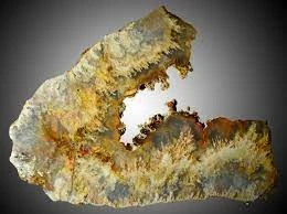 Graveyard Plume Agate | Encyclopedia gemstonia Wiki | Fandom