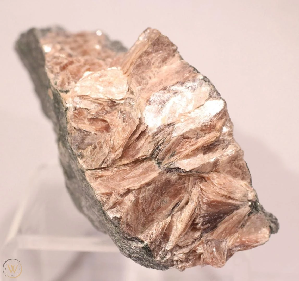 Margarite | Encyclopedia gemstonia Wiki | Fandom