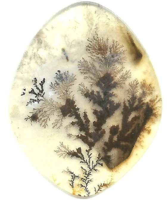 Dendritic agate | Encyclopedia gemstonia Wiki | Fandom