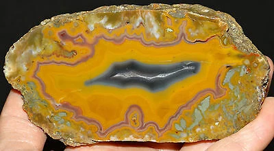 Kentucky agate | Encyclopedia gemstonia Wiki | Fandom