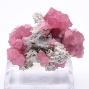 Rosolite | Encyclopedia gemstonia Wiki | Fandom
