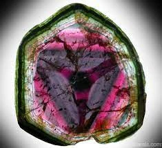 Liddicoatite | Encyclopedia gemstonia Wiki | Fandom