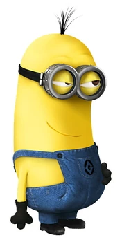 Despicable Me Minions Tim