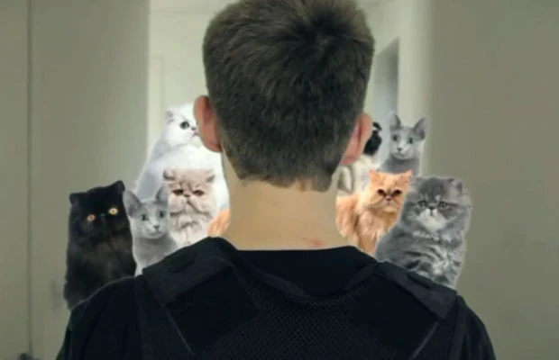 HOLY SHIT CATS | Encyclopedia CakeBomb Wiki | Fandom