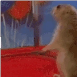 Dramatic Chipmunk Gif