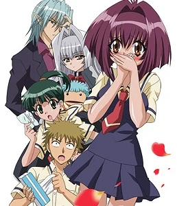 Karin | Wiki Encyclopedia Anime | Fandom