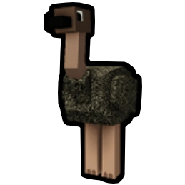 Emu | Endangered World Wiki | Fandom