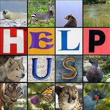 Endangered creatures Wiki | Fandom