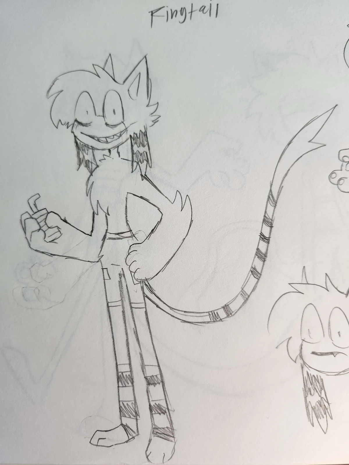 Ringtail | Ender, Soda and Walmter's OC Wiki | Fandom