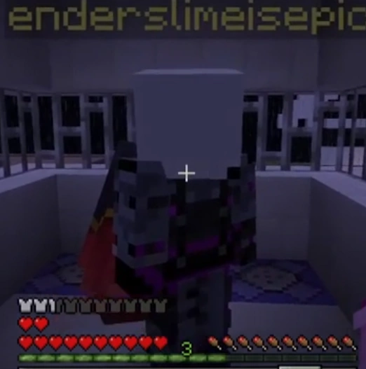 Behk | Enderslime SMP Wiki | Fandom
