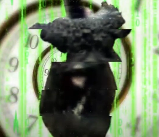 Skye | Enderslime SMP Wiki | Fandom