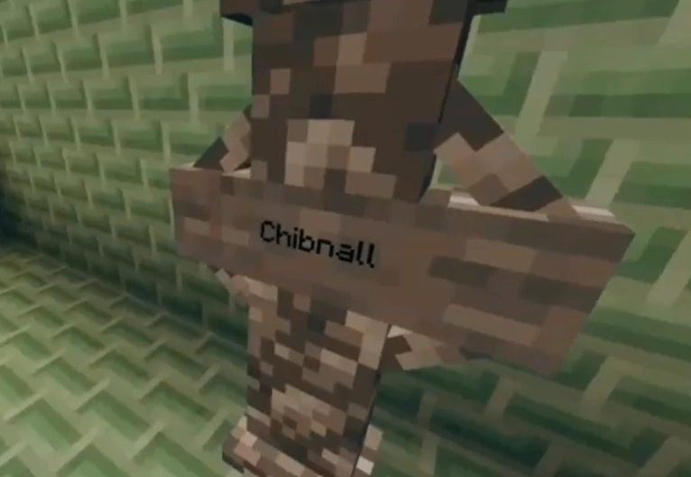 Chib | Enderslime SMP Wiki | Fandom