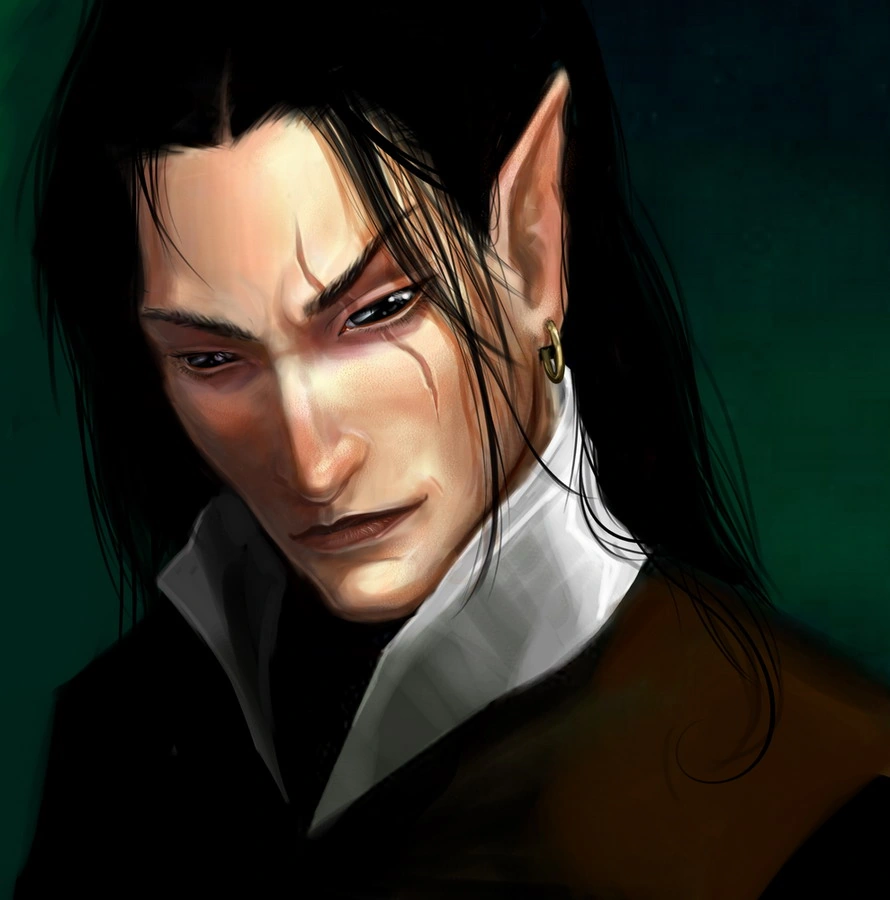 Star Marked Elves | The Endless Aetherium Wiki | Fandom