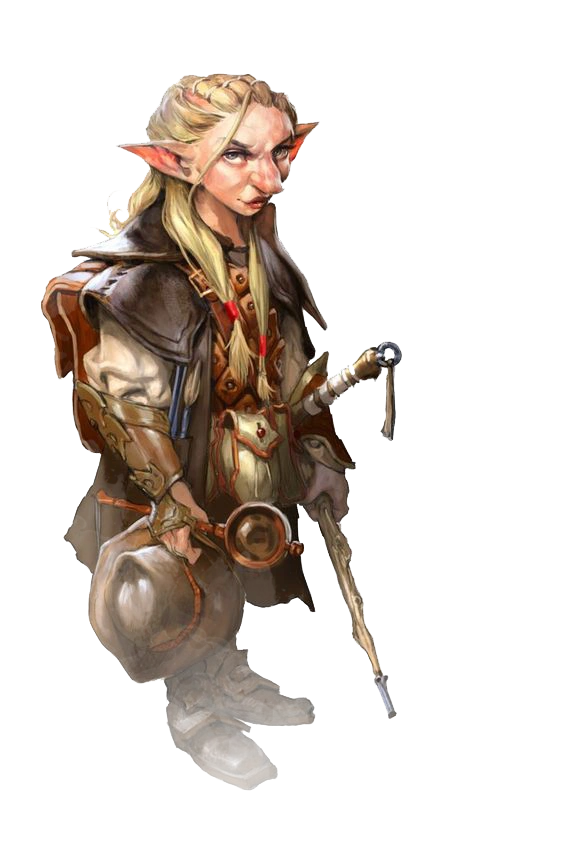 Gnome | The Endless Aetherium Wiki | Fandom