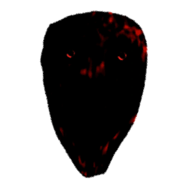 Smiler mask | Endless Doors Ideas Wiki | Fandom