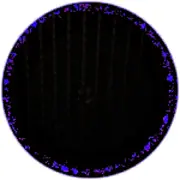 Badges | Endless doors Wiki | Fandom