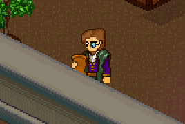 Port Shop | Endless Online: Recharged | Fandom