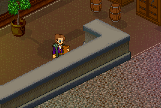 Aeven Port Shop (2) | Endless Online: Recharged | Fandom