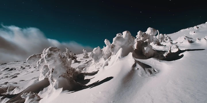 Asterus | Endless Sky Wiki | Fandom