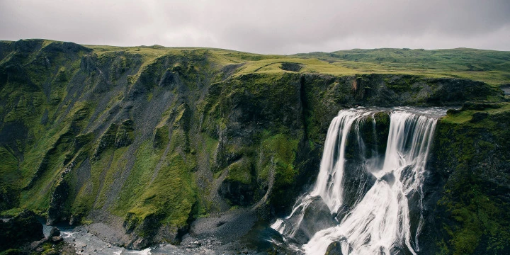 Greenbloom | Endless Sky Wiki | Fandom