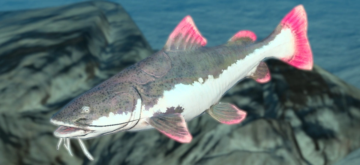 Redtail Catfish | Endless Ocean Wiki | Fandom