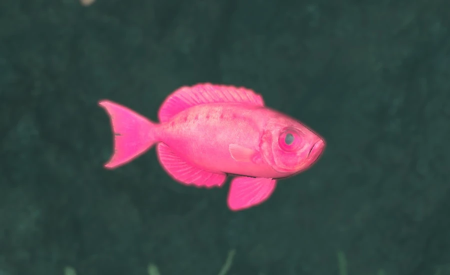 Moontail Bullseye | Endless Ocean Wiki | Fandom